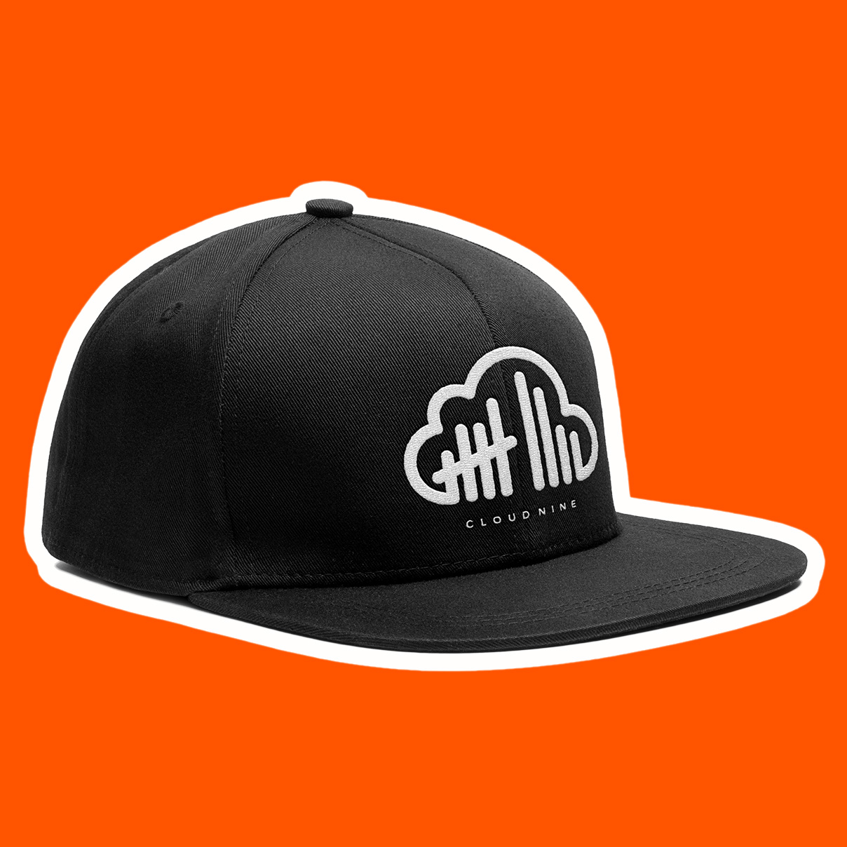 Cloud Nine - Digital Host LLC.